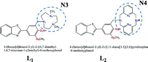 Scheme 1 Chemical Structure Of The Bifunctional Chelators Investigated Scheme 1 Chemical Structure Of The Bifunctional Chelators Investigated