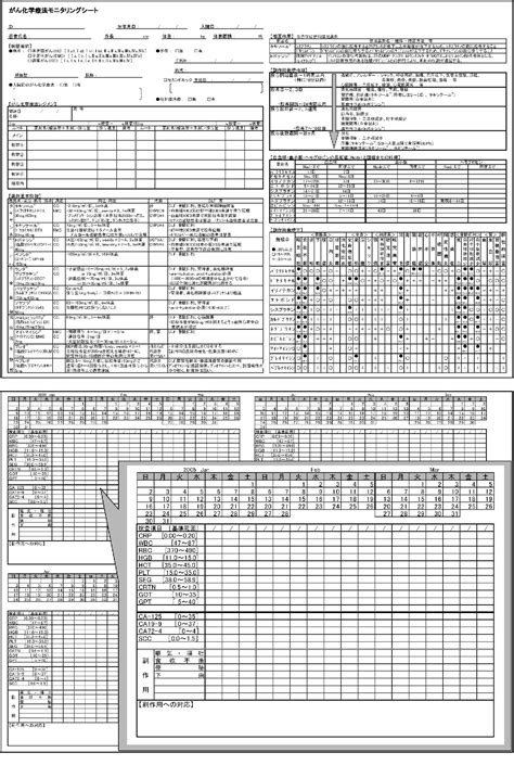 Figure 1 From Monitoring Sheet Covering Long Term Chemotherapy To