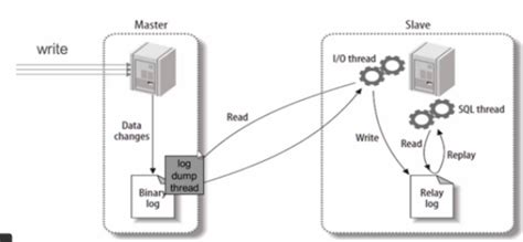 一、mysql主从复制（一主多从）搭建 墨天轮