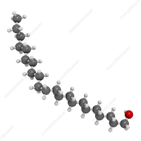 Docosanol Antiviral Drug Molecule Stock Image F0113630 Science