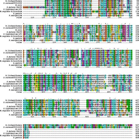 Multiple Sequence Alignment Of Pyruvate Kinase Amino Acid Sequences Of