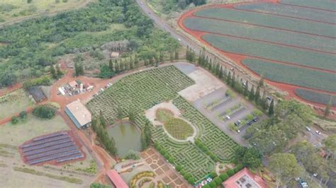 The Best Beaches In World Top View Of T Stock Video Pond5