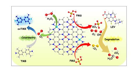 Multifunctional Fe Cu Dual Single Atom Nanozymes With Enhanced Peroxidase Activity For Isoniazid