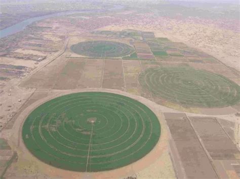 厉害了！中国人的种菜天赋，已经征服了全世界！ 长江蔬菜