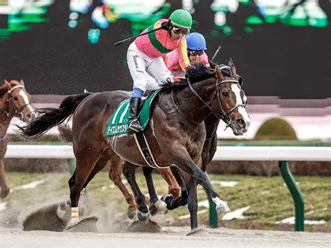【フェブラリーs】登録馬 スワーヴアラミス、テイエムサウスダンなど24頭 競馬ニュース Netkeiba