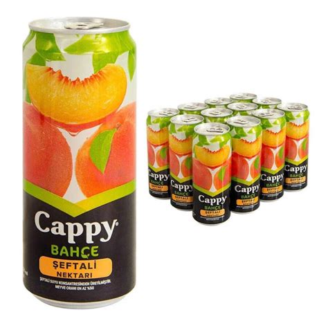 Cappy Şeftalİ Kutu 330 Ml12