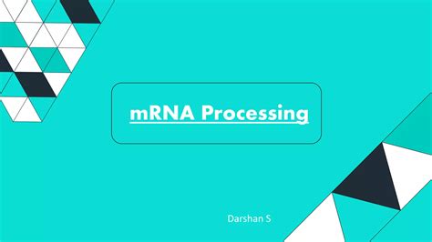 Mrna Processing Pptx