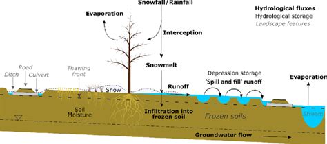 Conceptualisation Of Processes Governing Runoff Generation In A