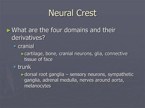 PPT Neural Crest Cells And Axonal Specificity PowerPoint Presentation ID 252831