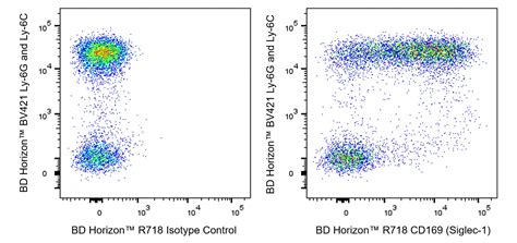R718 Rat Anti Mouse Cd169 Siglec 1