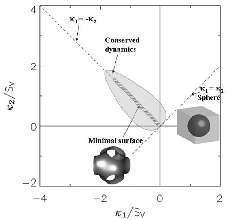8 A Schematic Interfacial Shape Distribution Diagram Which Is Scaled