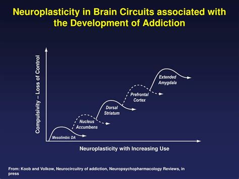 Ppt Neurocircuitry Of Addiction View From The Dark Side Powerpoint Presentation Id1078998