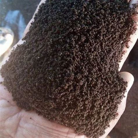 Granules Organic Vermicompost Fertilizer At ₹ 10kg In Aurangabad Id