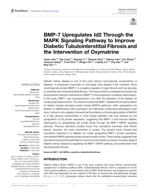 Pdf Bmp 7 Upregulates Id2 Through The Mapk Signaling Pathway To