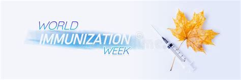World Immunization Week Autumn Leaf And Syringe On White Background