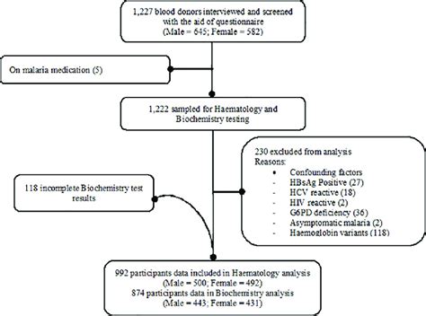Flow Chart Of Participant Selection Protocol Download Scientific Diagram
