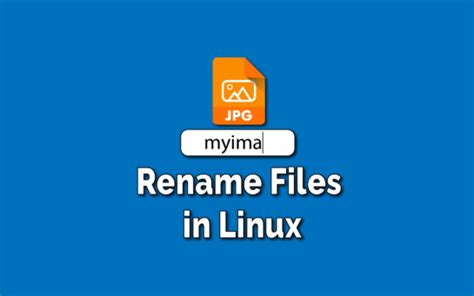 How To Rename Files In Linux Using Terminal Techsphinx