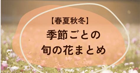 【美しい青い花】デルフィニウムの時期はいつ？？花言葉は？？ ひとりでハナログ