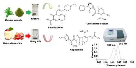 Nanomaterials Free Full Text Exploiting Of Green Synthesized Metal