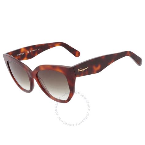 Salvatore Ferragamo Brown Gradient Cat Eye Ladies Sunglasses Sf1061s
