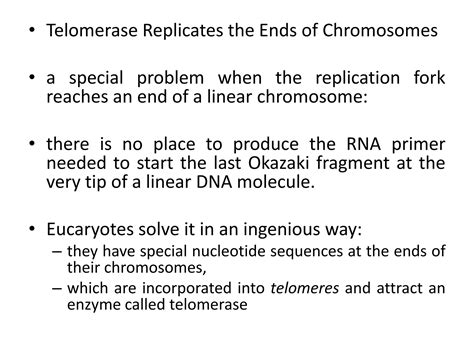 10 Dna Replication Pptx 10 Dna Replication Pptx