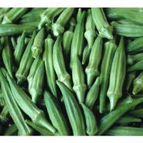 Indian Vegetable Seeds Etsy