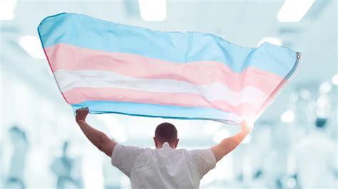 What Is The Mtf Transition Process Feminizator