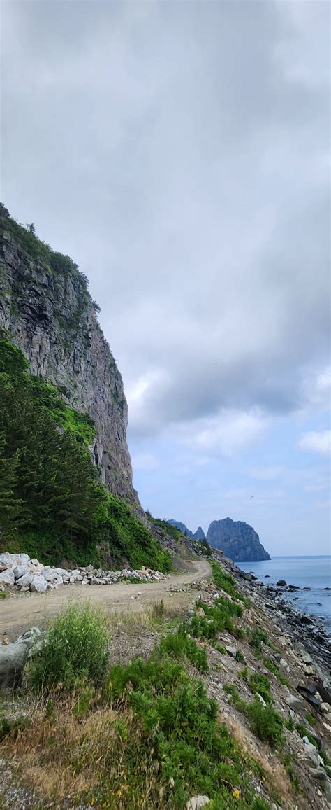 직 접 찍 은 사진 자랑 울릉도에서 Daum 카페