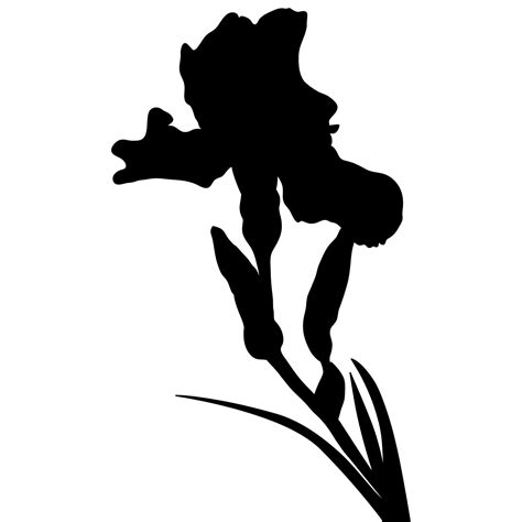 Iris Flower Silhouette 44044454 Vector Art At Vecteezy