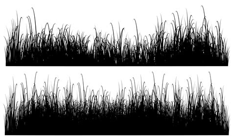 Tall Grass Vector Meadow 8076334 Vector Art At Vecteezy