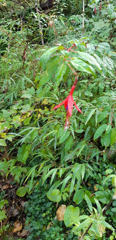 Maria Agueda Andersen Photography