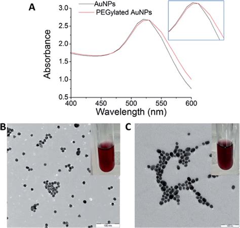 A Uv Vis Spectra Of Colloidal Aunps And Pegylated Aunps Transmission