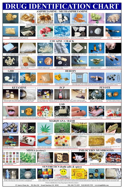 Drug Identification Posters