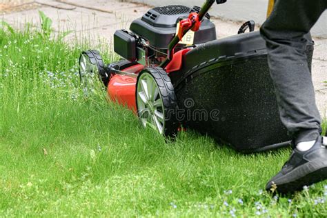 Lawn Mower On Mowed Lawn Grass Stock Image Image Of Growth Cutter