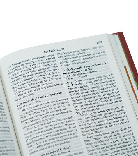 Biblia NVI Ovejitas Tapa Dura Roja Libreria Peniel