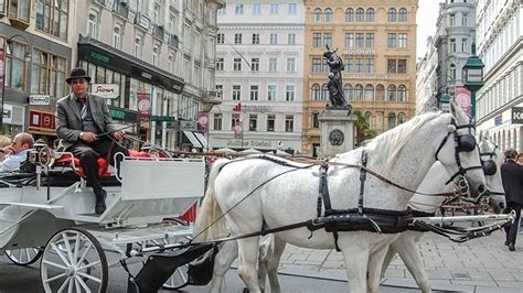 Виена над всички в света