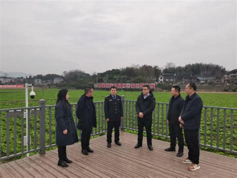 县农业农村局：强化种子种苗监管 筑牢农业安全屏障 大竹县人民政府