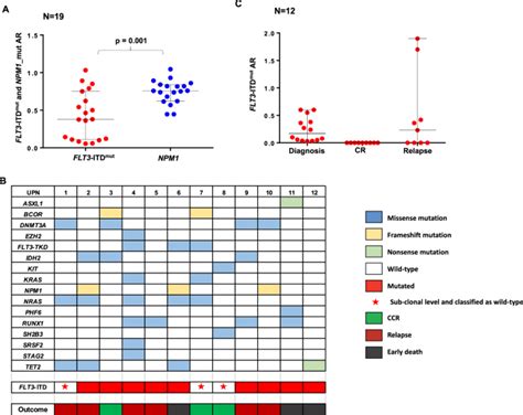 Characterization Of FLT3 ITDmut Acute Myeloid Leukemia Molecular