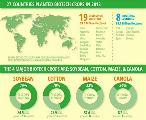 How GMO Crops Conquered The United States Vox