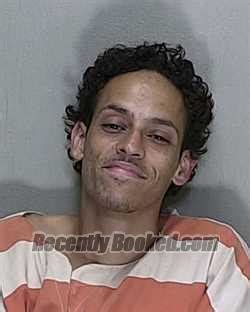 Recent Booking Mugshot For GILBERT SANTIAGO In Marion County Florida