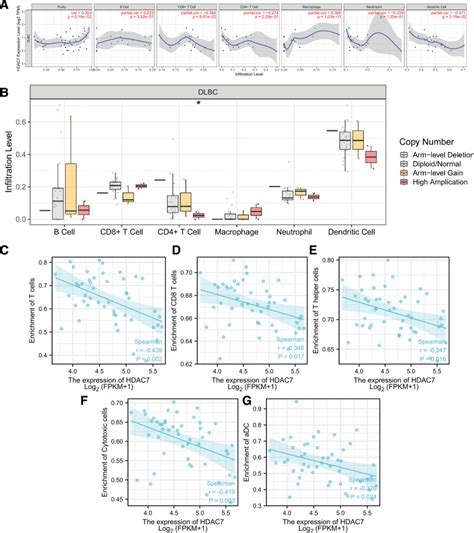 Comprehensive Analysis Of Hdac7 Expression And Its Prognostic Value In