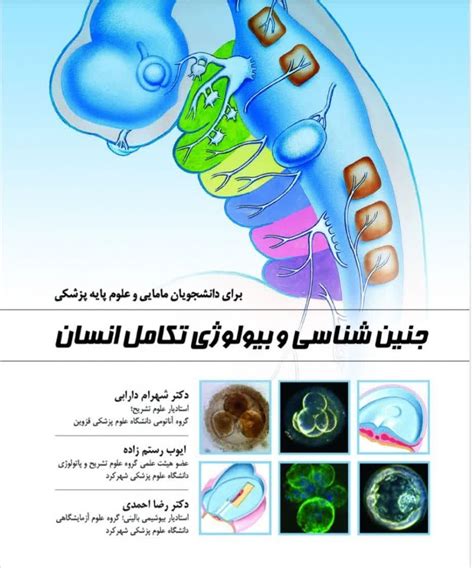 جنین شناسی و بیولوژی تکامل انسان فروشگاه کتاب پزشکی همراهان دانش