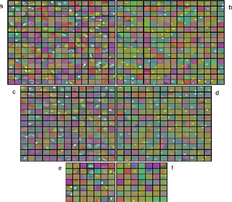 Figure 3 From Automating Cell Detection And Classification In Human Brain Fluorescent Microscopy