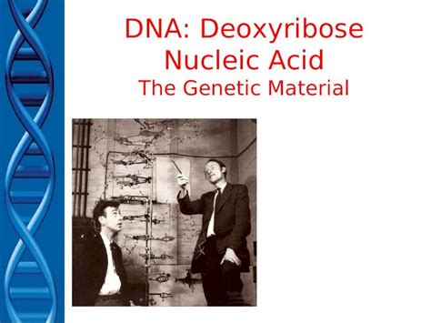 Ppt Dna Deoxyribose Nucleic Acid The Genetic Material Dokumen Tips