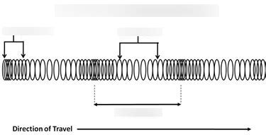 Sound Diagram Quizlet