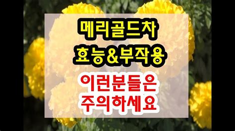 금잔화 메리골드차 효능과 부작용 잘 알고 드셔야해요~ Youtube