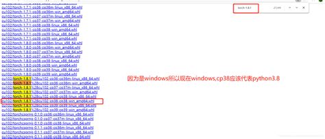 关于torch Torchvison离线安装torch1131对应torchvision Csdn博客