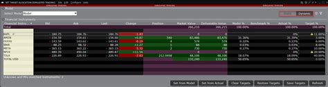 Static And Dynamic Investment Allocations
