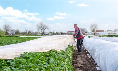 Crop Nutrient Removal Rates Kaup Seed And Fertilizer Soil Fertility