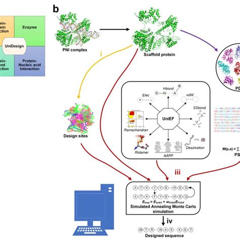 The Unidesign Workflow For Protein Nucleic Acid Interaction Design A